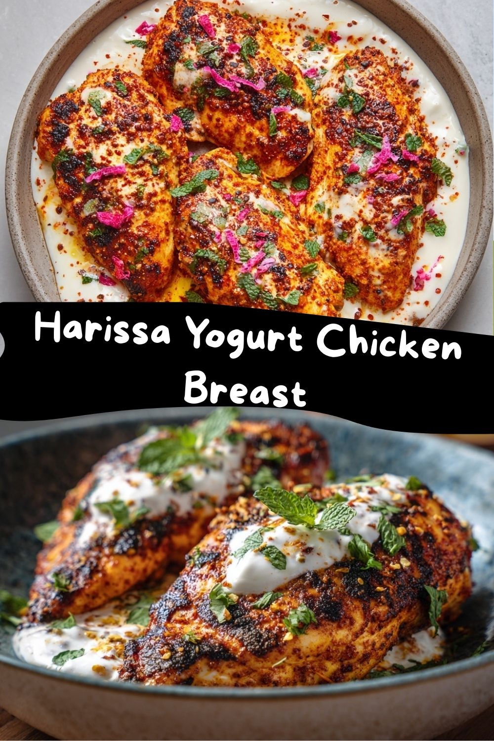 Harissa Yogurt Chicken Breast : Spicy Heat Meets Creamy Cool - The ...